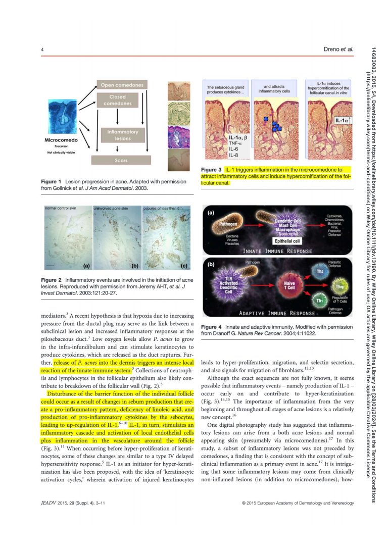 The Inflammatory Root of Acne: A Closer Look at Skin's Silent Aggressor