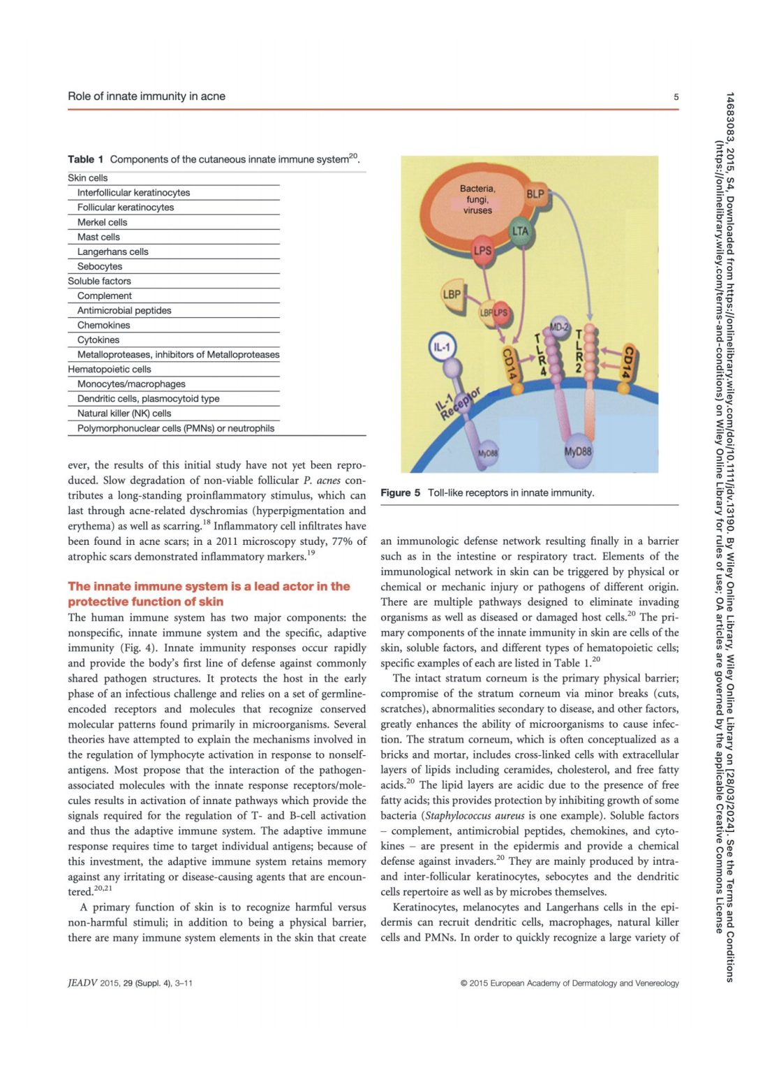 The Inflammatory Root of Acne